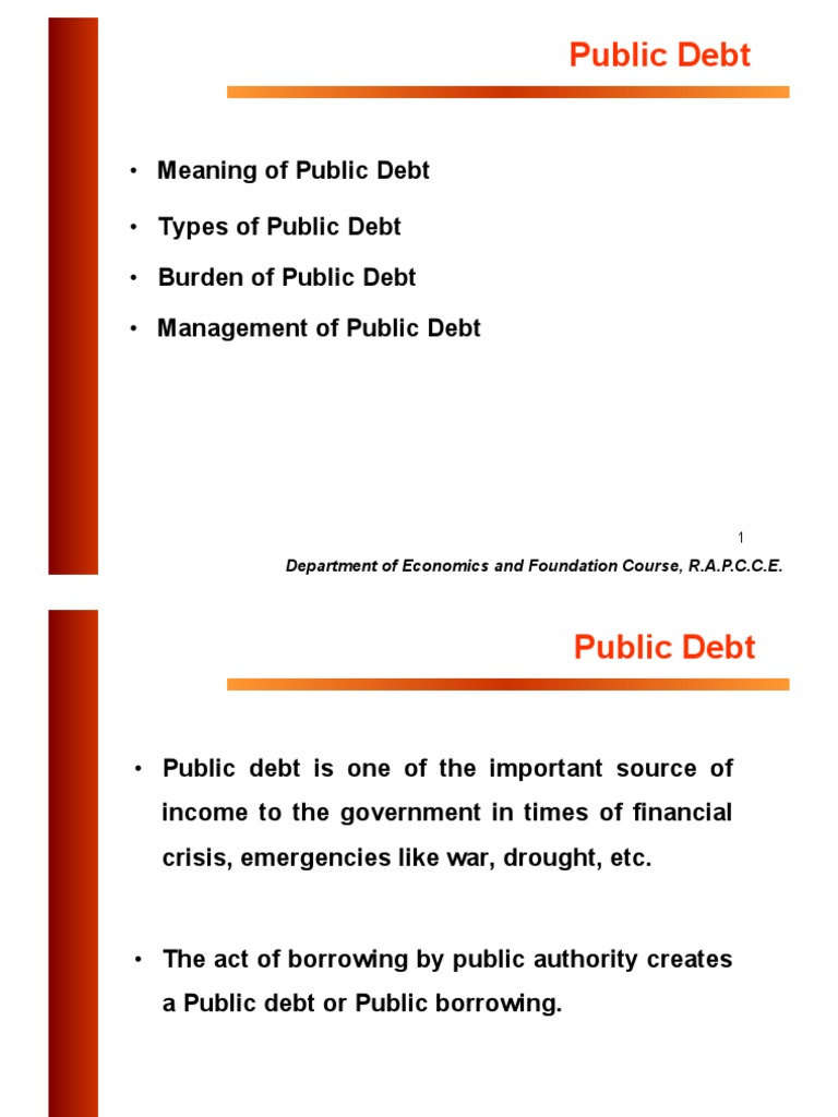 Public Debt PDF | Download Free PDF | Government Debt | Debt