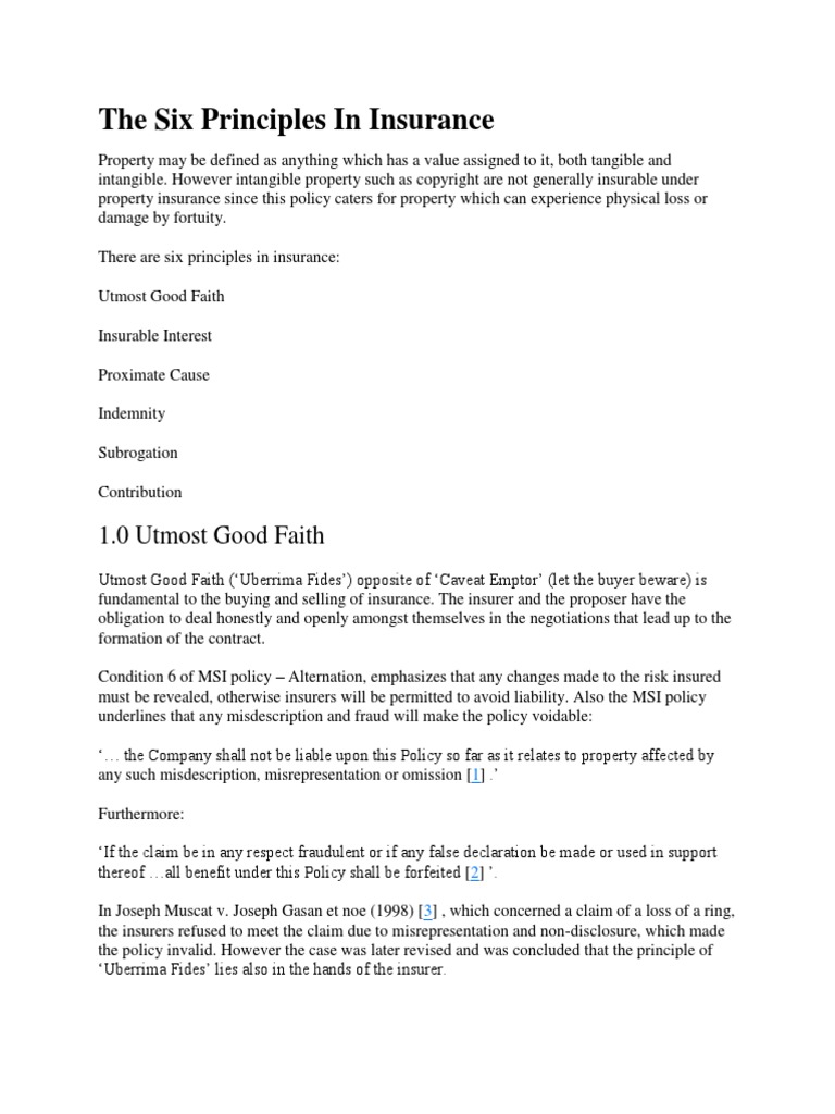 The Six Principles in Insurance | PDF | Indemnity | Insurance