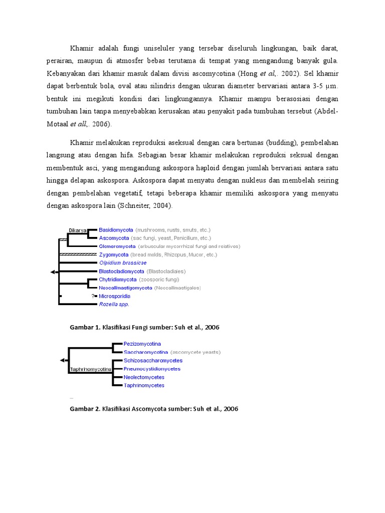 Klasifikasi Khamir | PDF