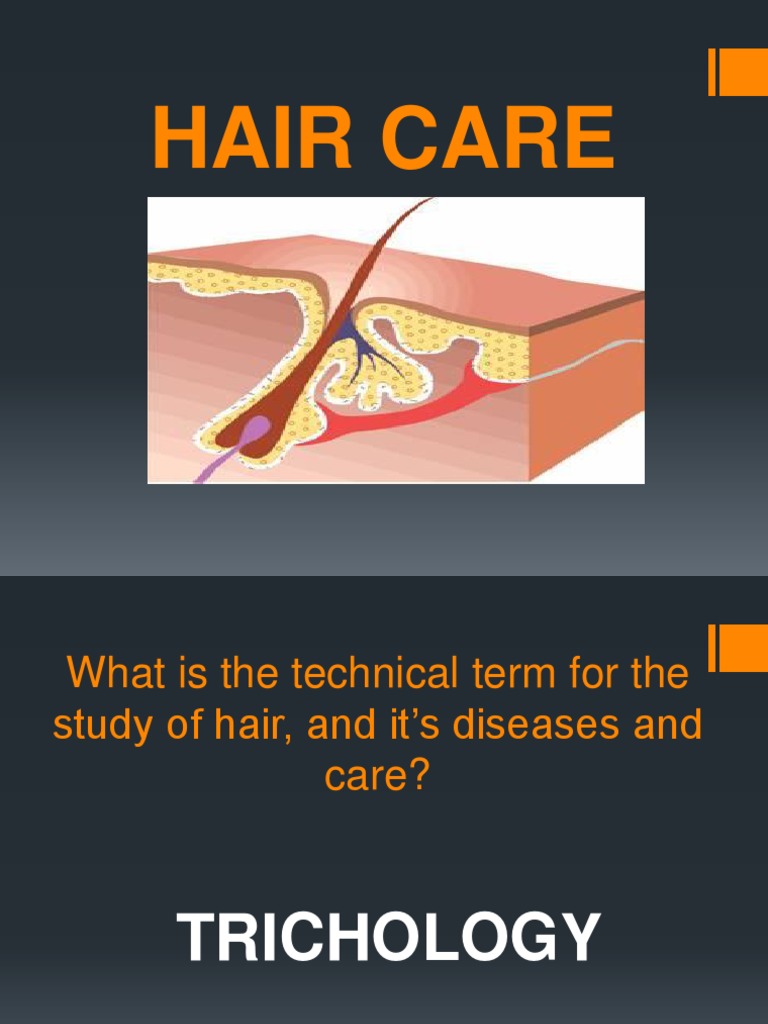 HAIR CARE GUIDE FOR HEALTHY SCALPS AND STYLES | PDF | Hair | Skin