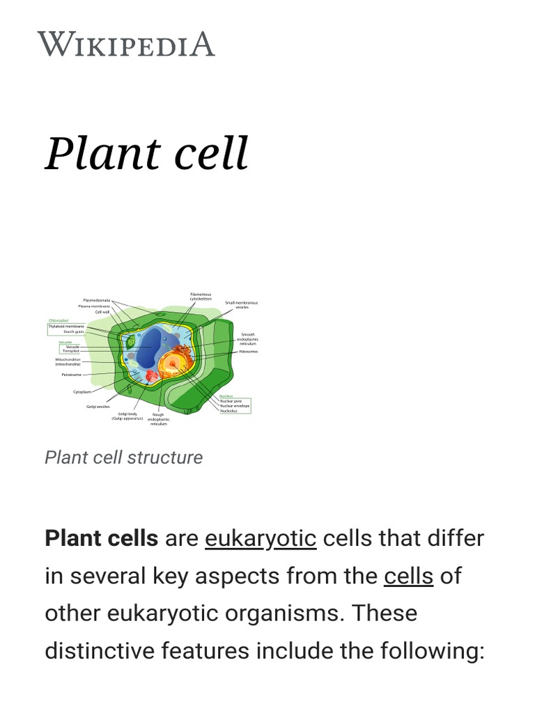Plant Cell - Wikipedia | PDF | Histology | Plant Morphology