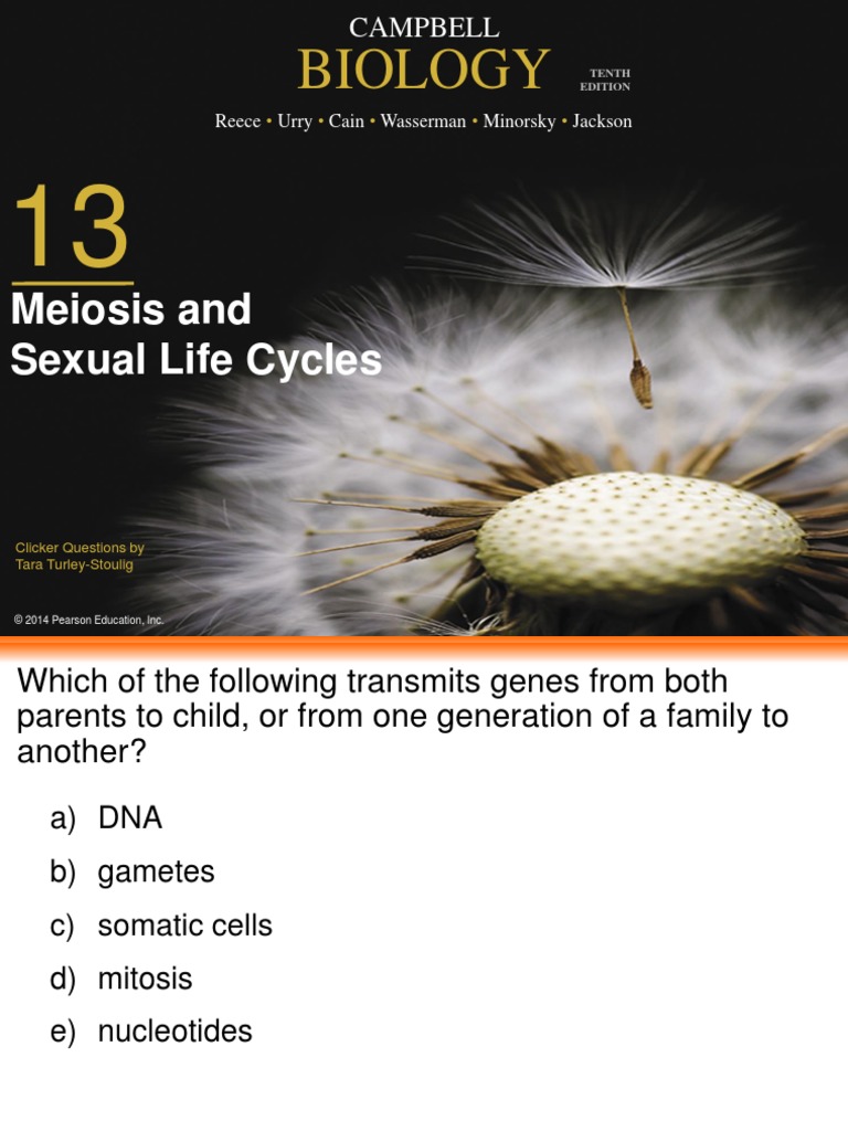 Biology: Meiosis and Sexual Life Cycles | PDF | Meiosis | Ploidy