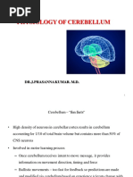 Pyramidal vs Extrapyramidal Tracts | PDF | Neuroscience | Neuroanatomy