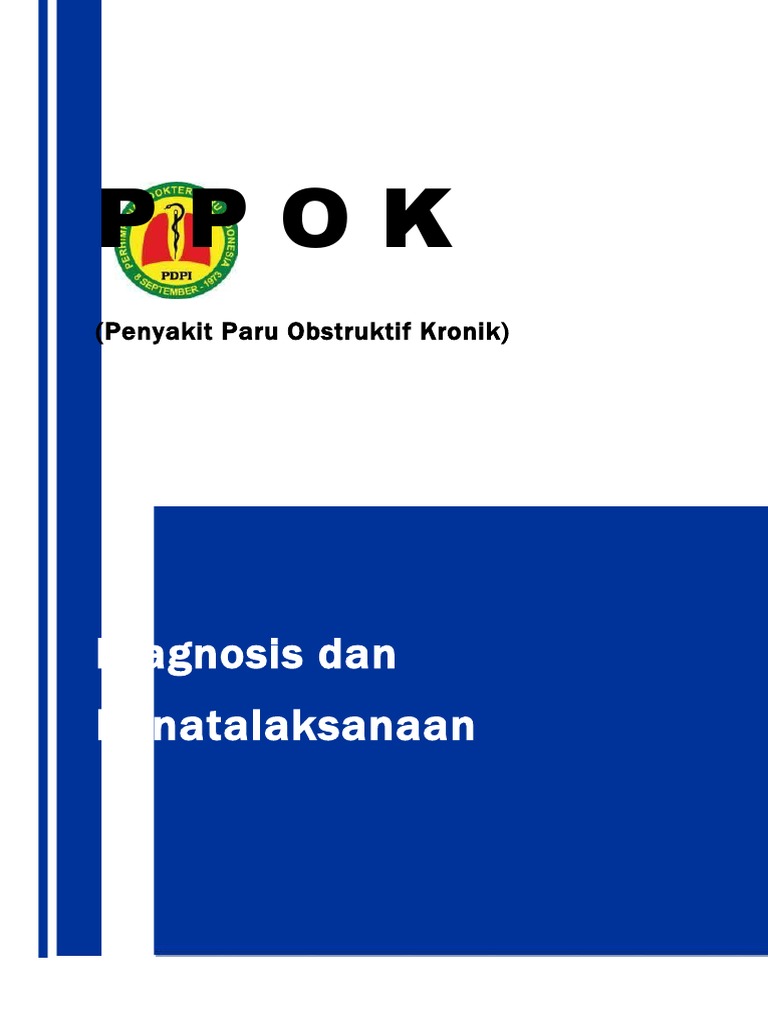 Guideline PPOK Lengkap (PDPI 2011) | PDF