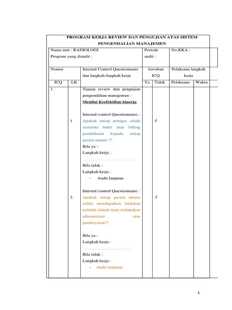 Radiologi Pedoman Penyusunan Program Kerja Audit | PDF