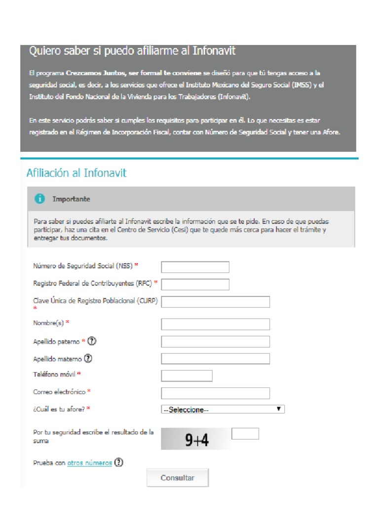 4 Pasos para El Registro en El Portal Infonavit Como Patrón | PDF