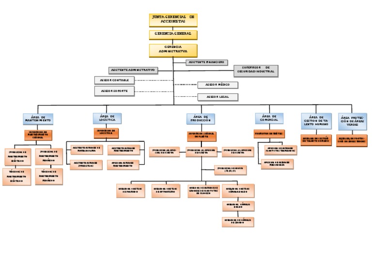 Organigrama Cerámicos Dett SAC | PDF | Logística | Business
