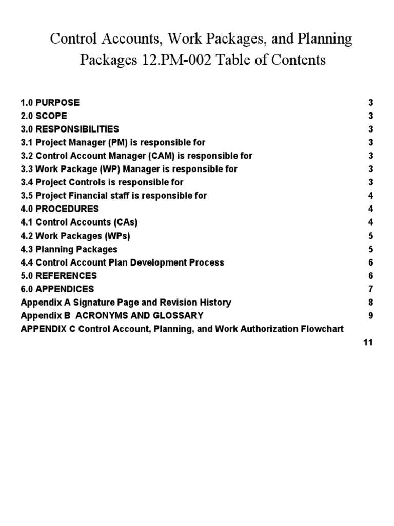 Project Management Procedures | PDF | Project Management | Business