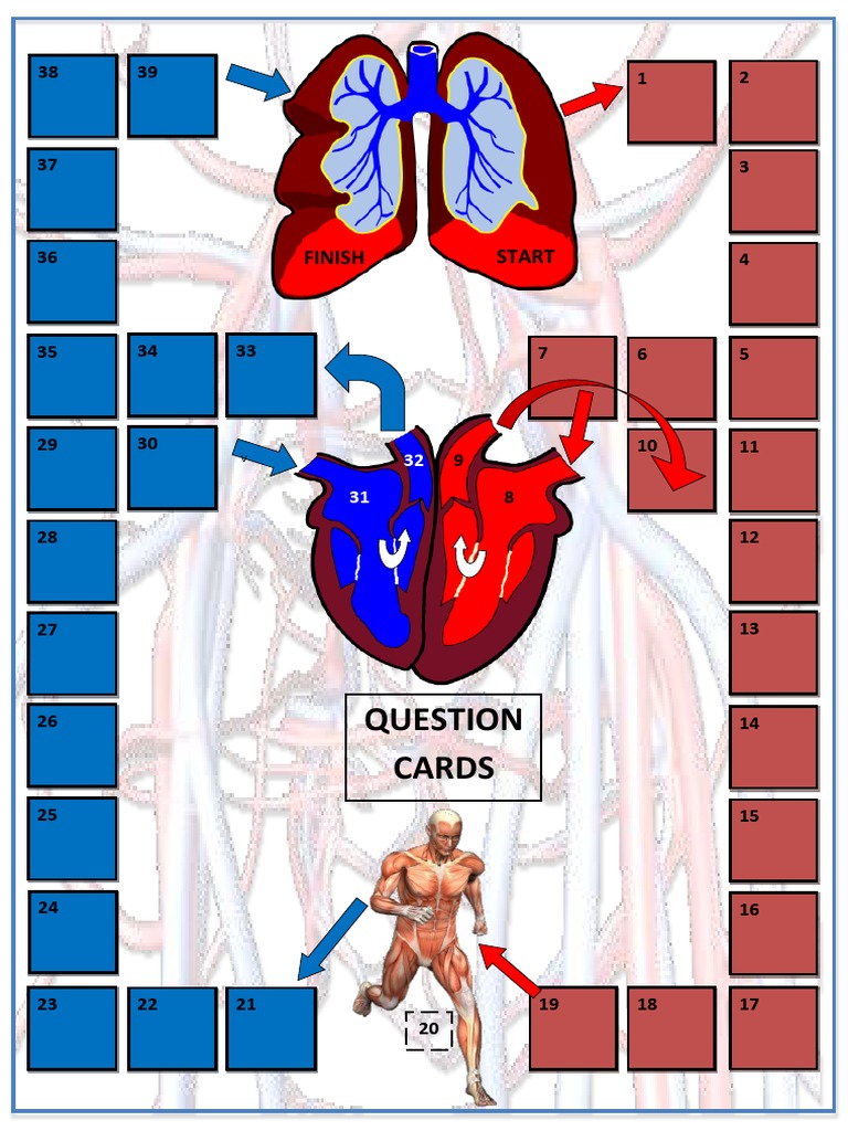Cardiovascular Board Game | PDF