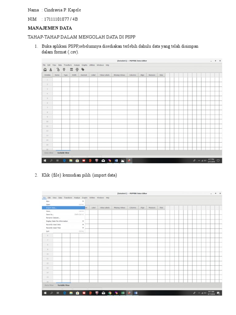 Langkah Langkah Menggunakan Aplikasi PSPP | PDF