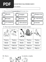 Guía 6 Ciencias Naturales (Los Animales Según Su Habitat) | PDF ...