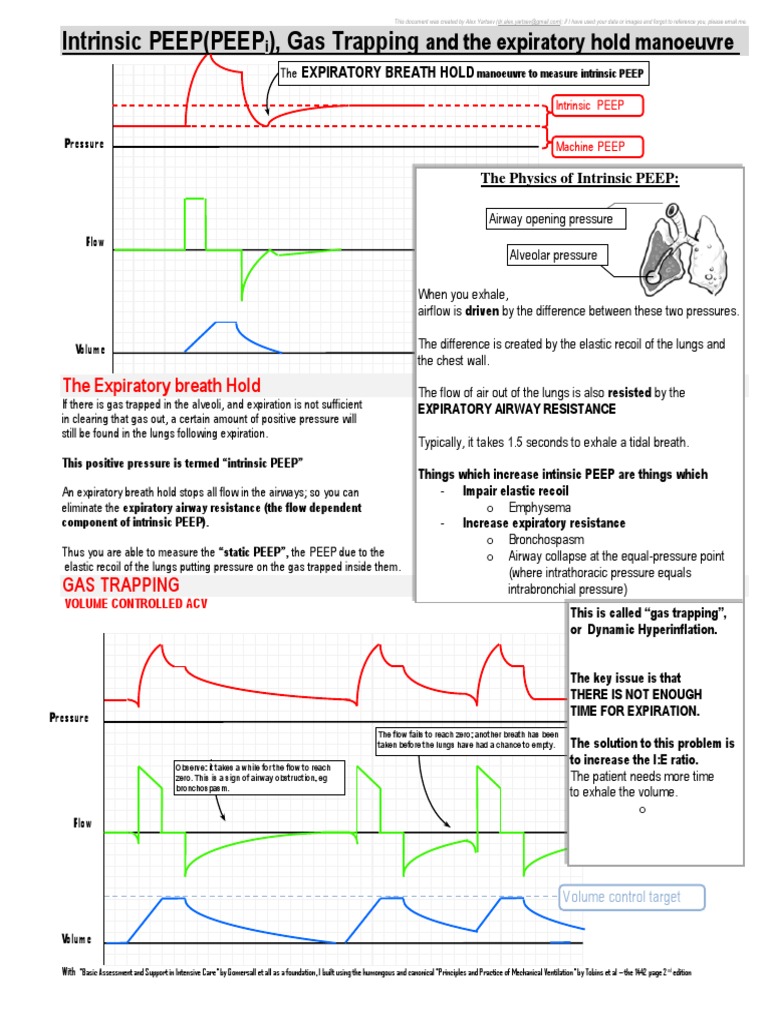 Intinsic PEEP, Gas Trapping and The Expiratory Hold Manoeuvre | PDF ...