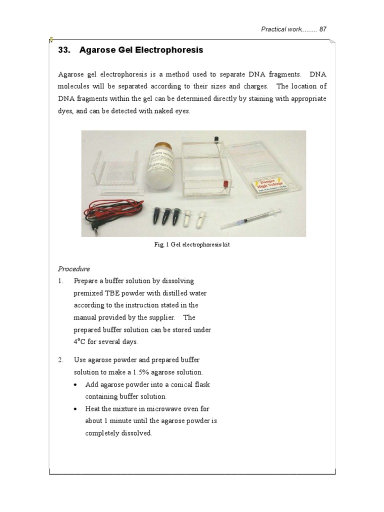 Practical 33 PDF | PDF | Agarose Gel Electrophoresis | Gel Electrophoresis