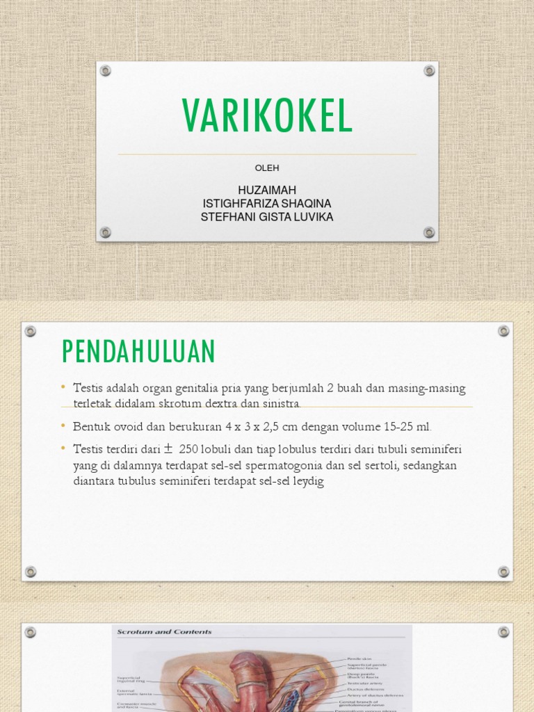 Varikokel: Diagnosis dan Tatalaksana | PDF