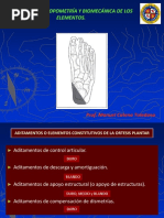 Linea de Feiss, Linea de Helbing | PDF | Pie | Anatomía humana