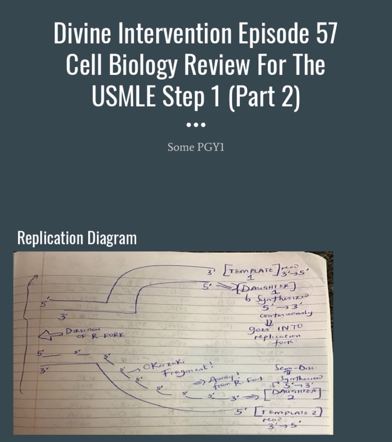 USMLE Step 1 Cell Biology Review | PDF