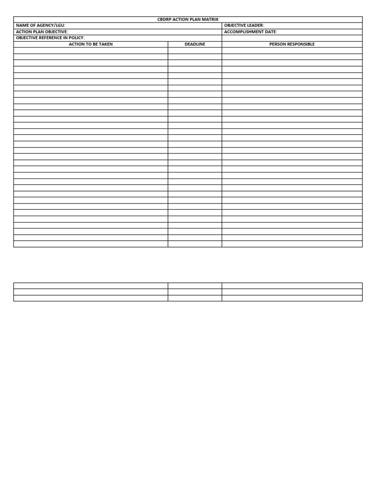 CBDRP Action Plan Matrix | PDF