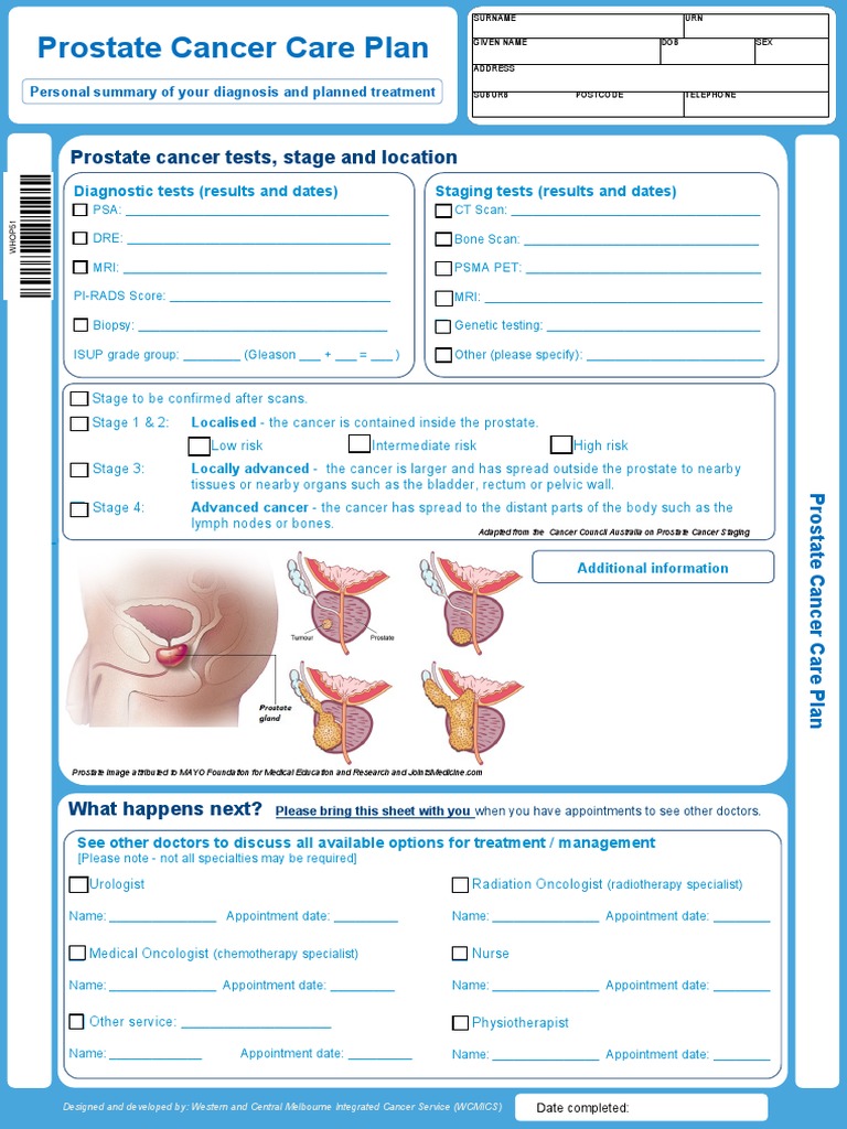 Prostate Cancer Care Plan Editable v3 | PDF | Prostate Cancer | Oncology