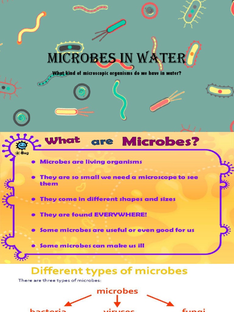 Microbes in Water: What Kind of Microscopic Organisms Do We Have in ...