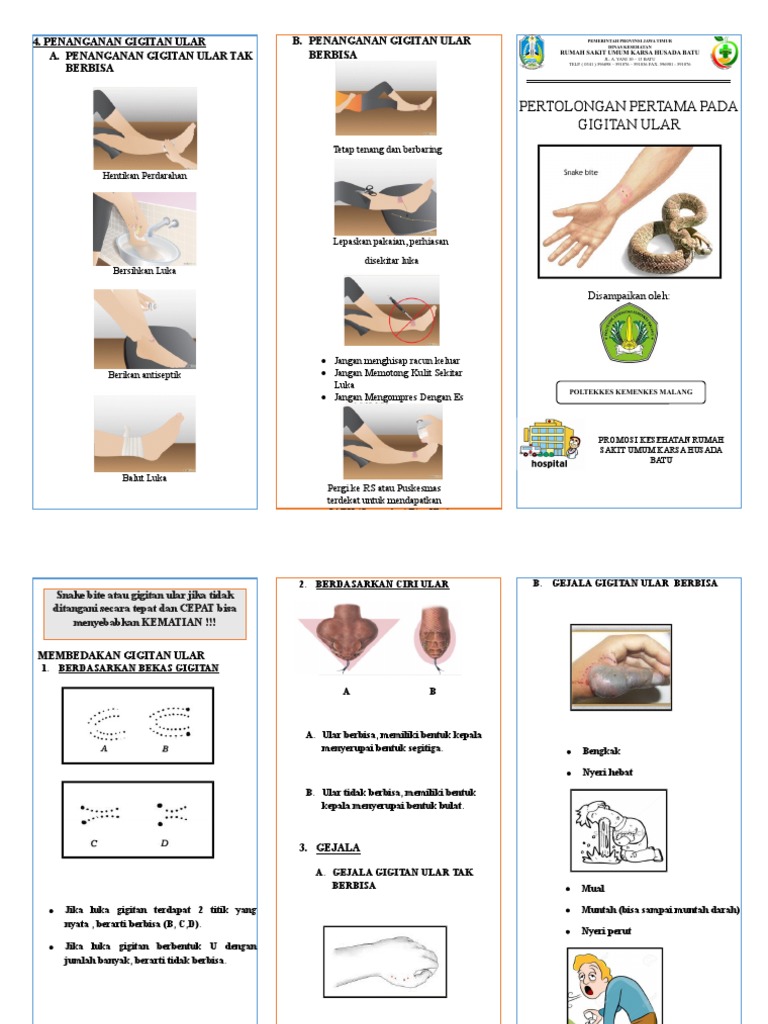 Leaflet Snake Bite Revisi | PDF