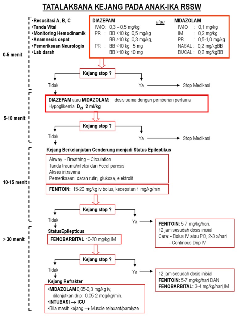 Protap Ika RSSW Tatalaksana Kejang Pada Anak | PDF