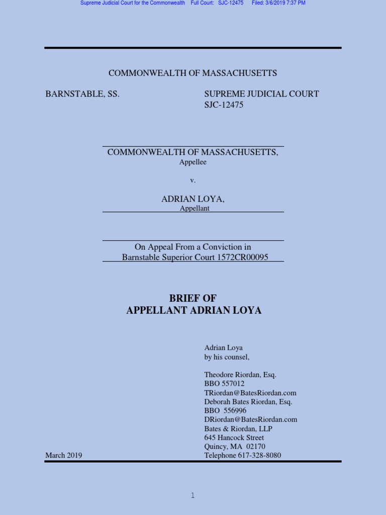 "Apellant Brief" in Adrian Loya Case | PDF | Reasonable Doubt | Verdict