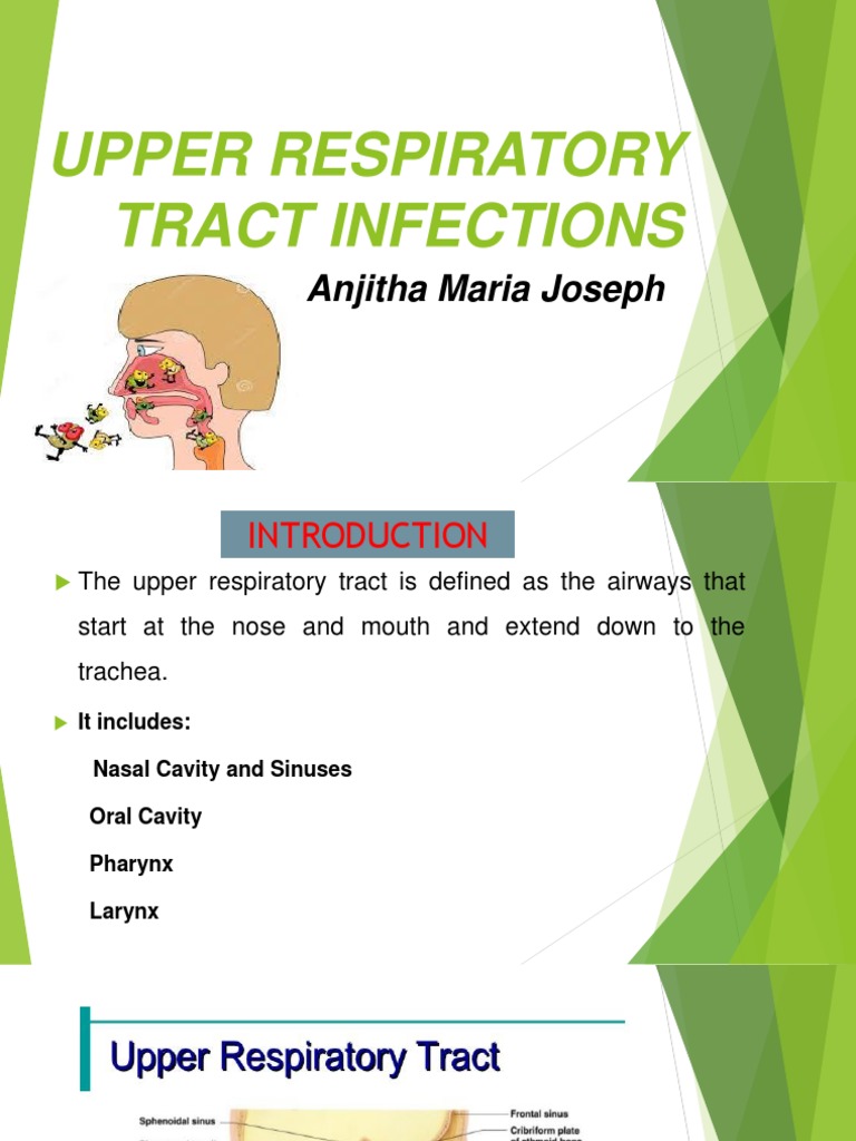 Upper Respiratory Tract Infections | PDF | Common Cold | Respiratory ...