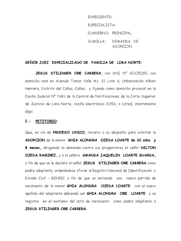 Demanda de Adopcion 1 | PDF | Adopción | Demanda judicial