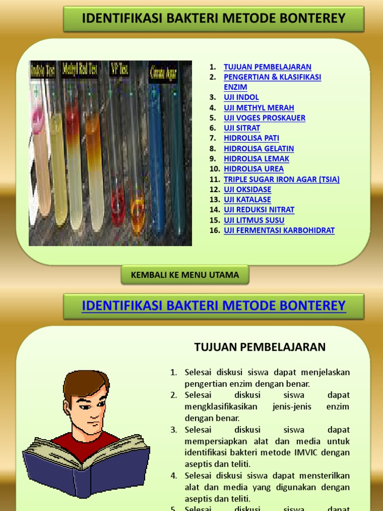 Uji Biokimia Bakteri | PDF