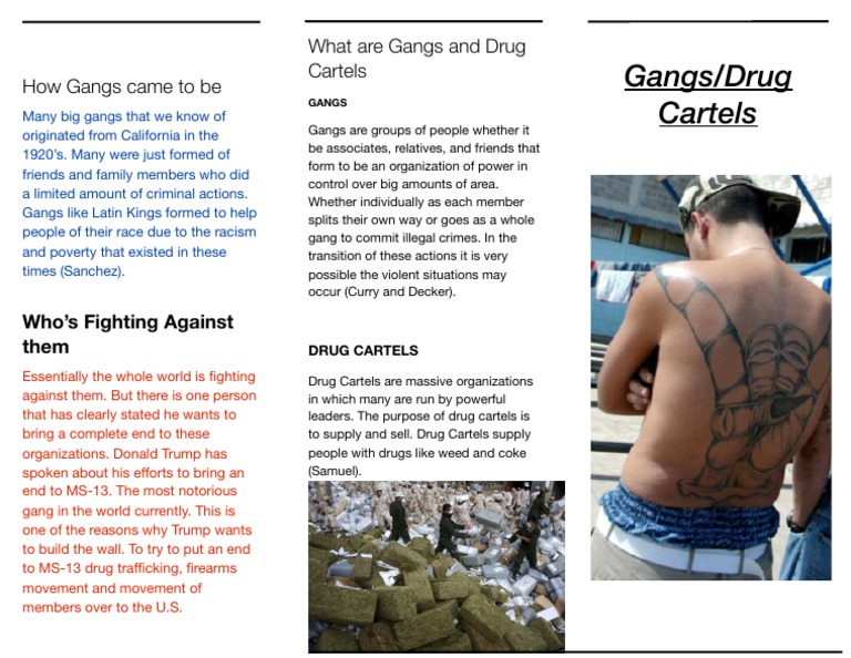 Museum Brochure | PDF