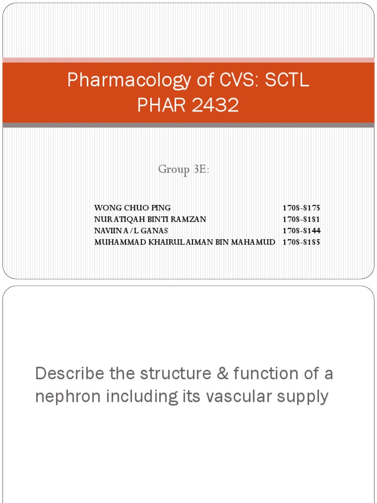 SCTL CVS Compilation | PDF