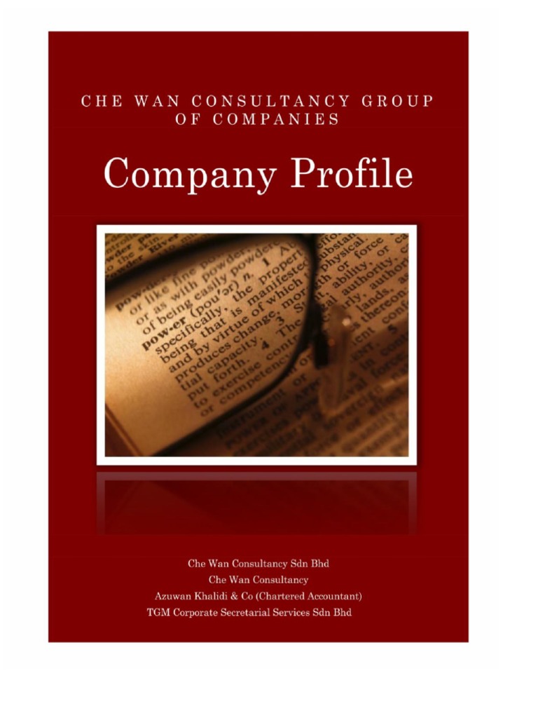 Company Profile | PDF | Accounting | Audit