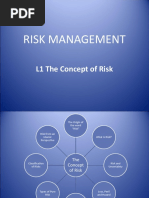 Rio Tinto Risk Management Standard | PDF | Risk | Risk Management