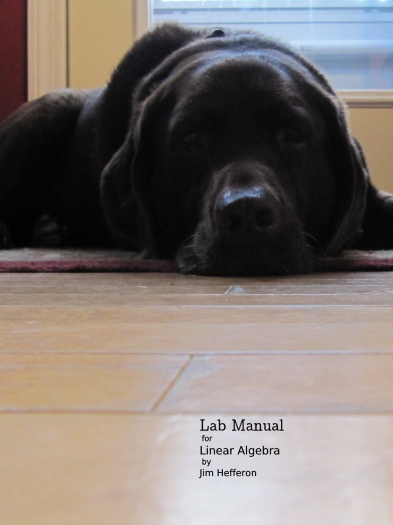 Lab Manual: Linear Algebra | Download Free PDF | Division (Mathematics ...