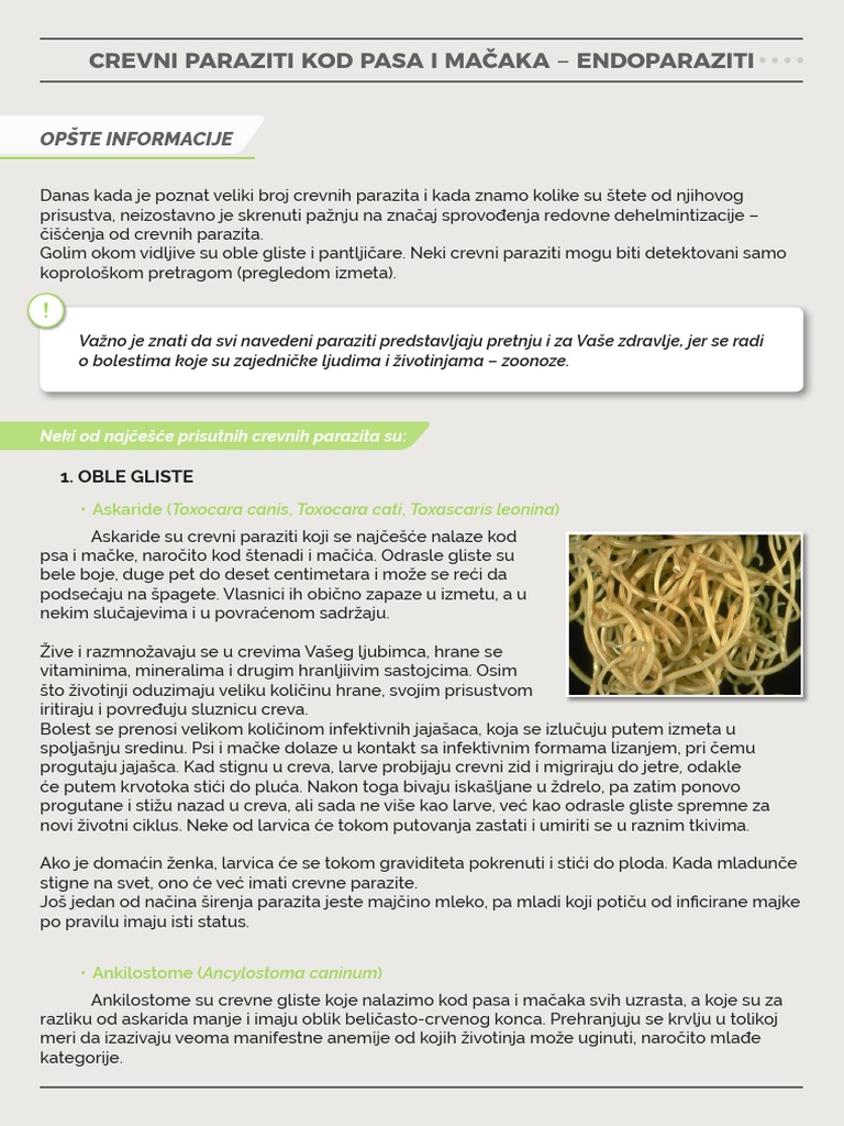 Crevni Paraziti | PDF