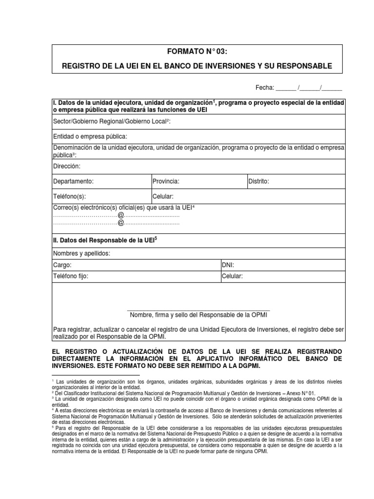 Formato 03 Registro de Uei | PDF | Gobierno | Business