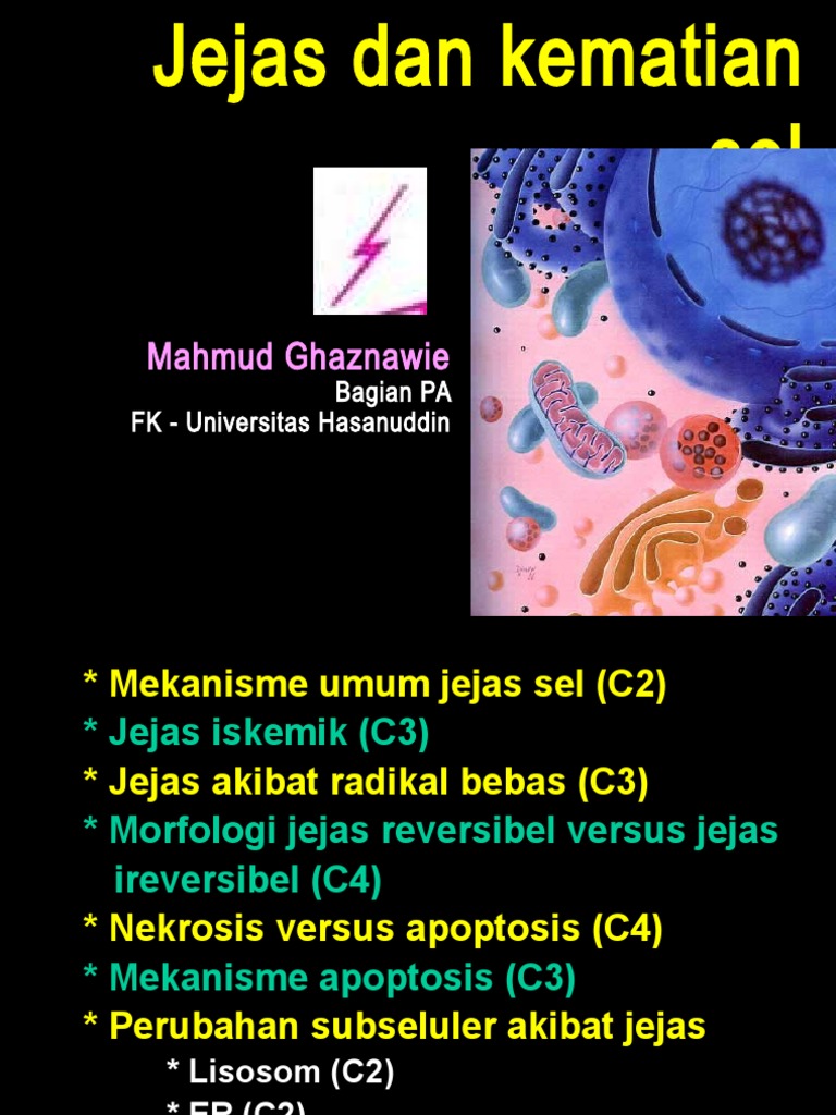 Jejas Dan Kematian Sel | Necrosis | Endoplasmic Reticulum | Free 30-day ...