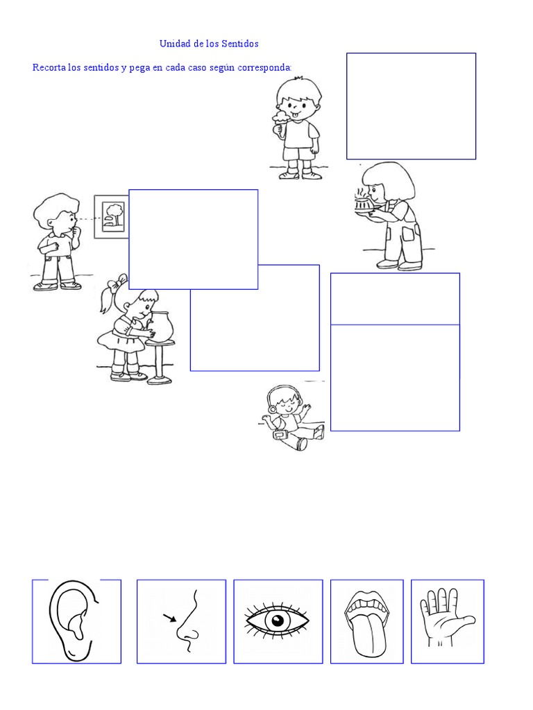 Unidad de Los Sentidos | PDF