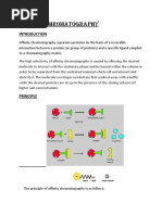 PyRx Protein-Ligand Docking Guide | PDF | Docking (Molecular) | Ligand ...