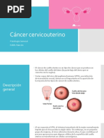 TRIPTICO | PDF | Cáncer de cuello uterino | Epidemiología
