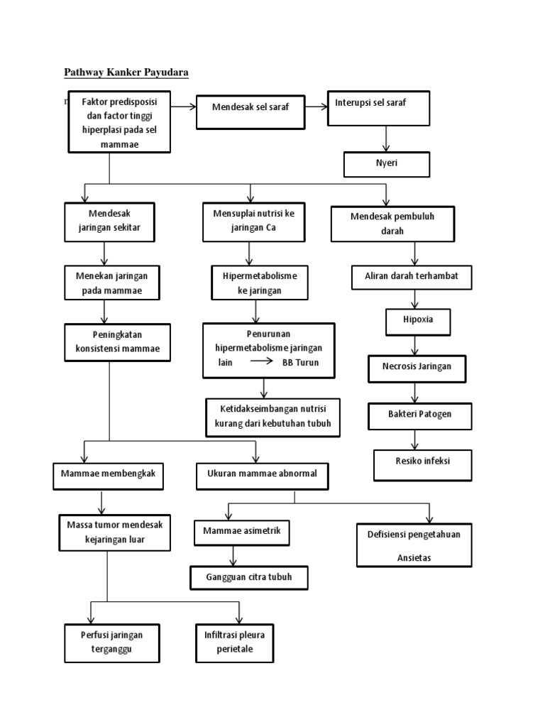 Pathway Kanker Payudara | PDF