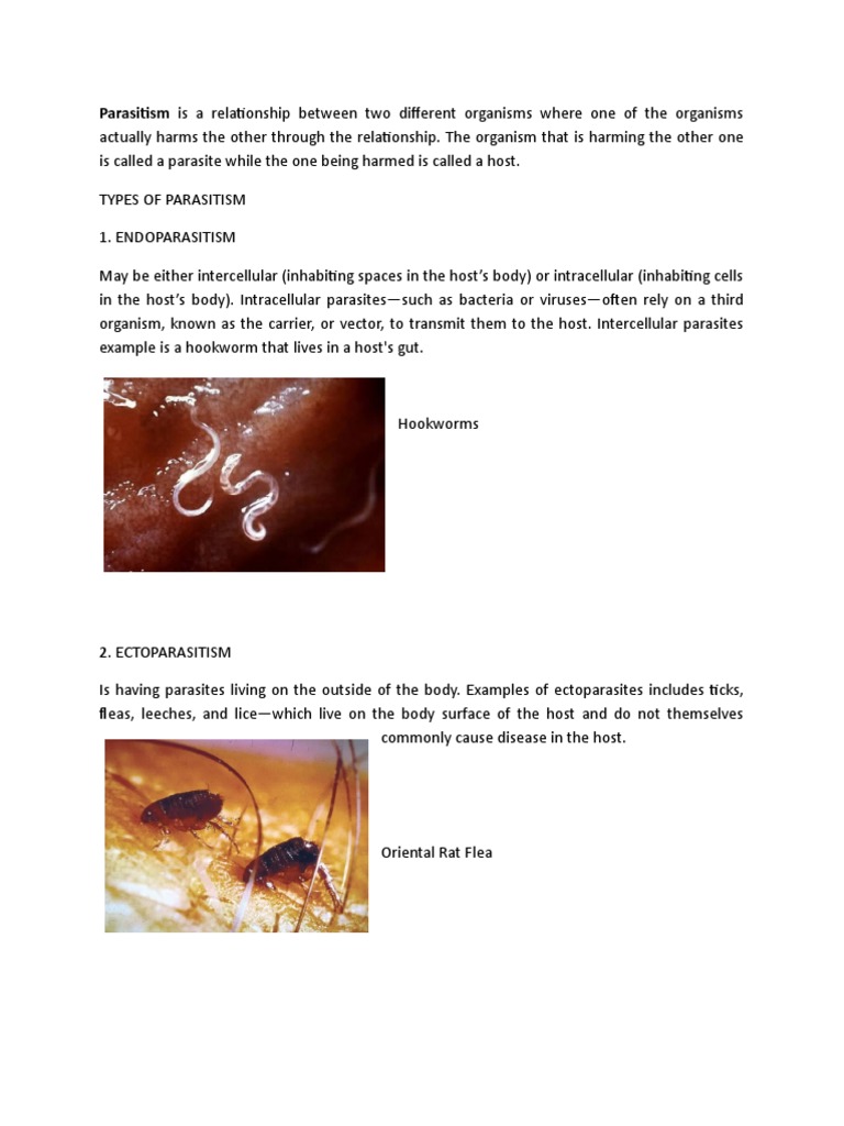 Parasitism Is A Relationship Between Two Different Organisms Where One ...