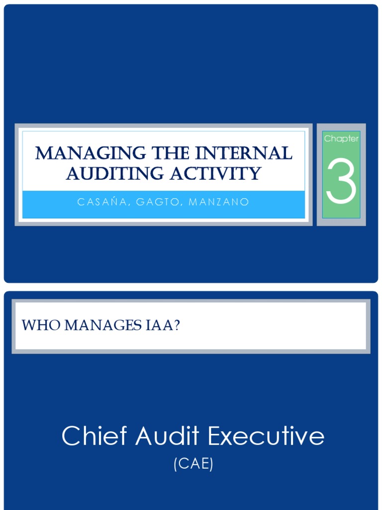Managing The Internal Auditing Activity | PDF | Internal Audit | Audit ...