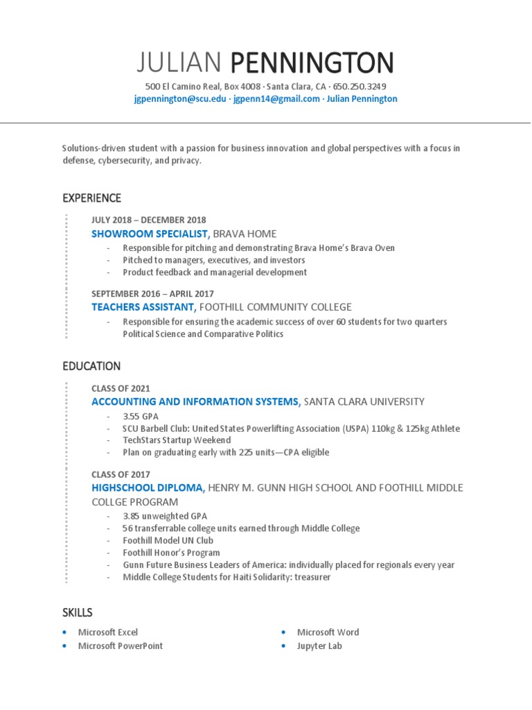 Digital Professional Resume | PDF