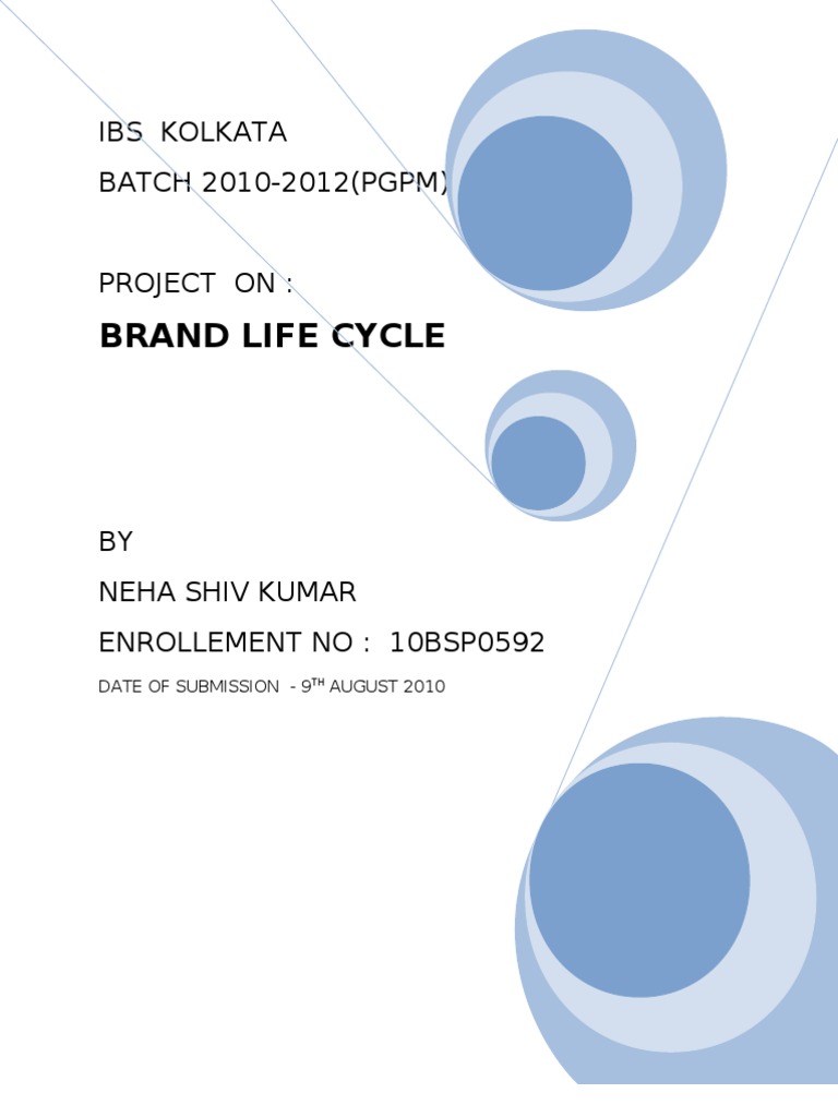 Brand Life Cycle Final | PDF | Chrysler | Apple Inc.