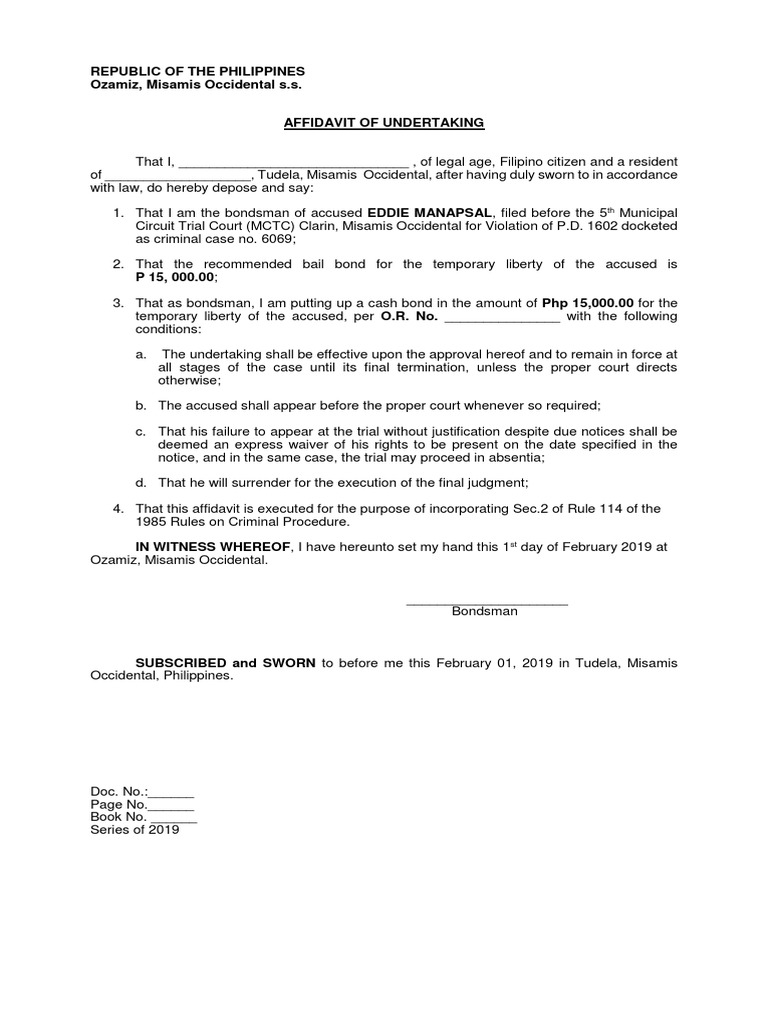 Aff. of Undertaking | PDF | Bail | Criminal Procedure In South Africa