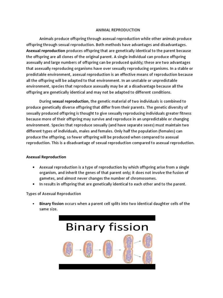 Animal Reproduction Methods | PDF | Reproduction | Offspring