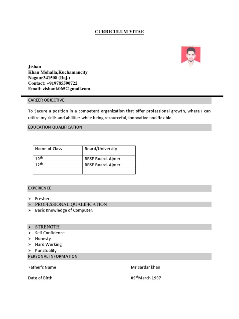 Jishan Khan's Curriculum Vitae | PDF