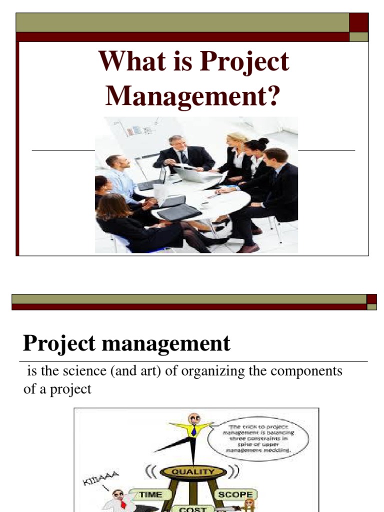 PROJECT | PDF | Project Management | Cognition