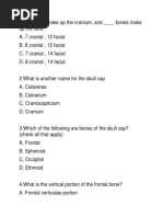 Worksheet Skulll | PDF | Skull | Anatomy